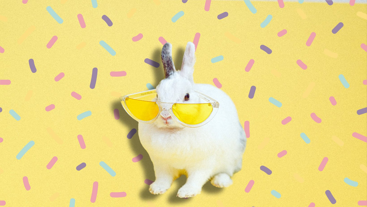 Easter – QUEST XO 🍫 Chocolate